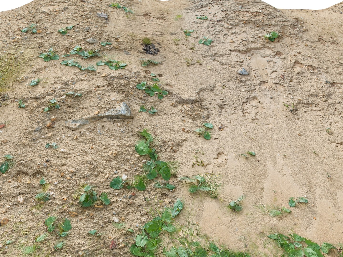 Sand Heap 16k 3d Model