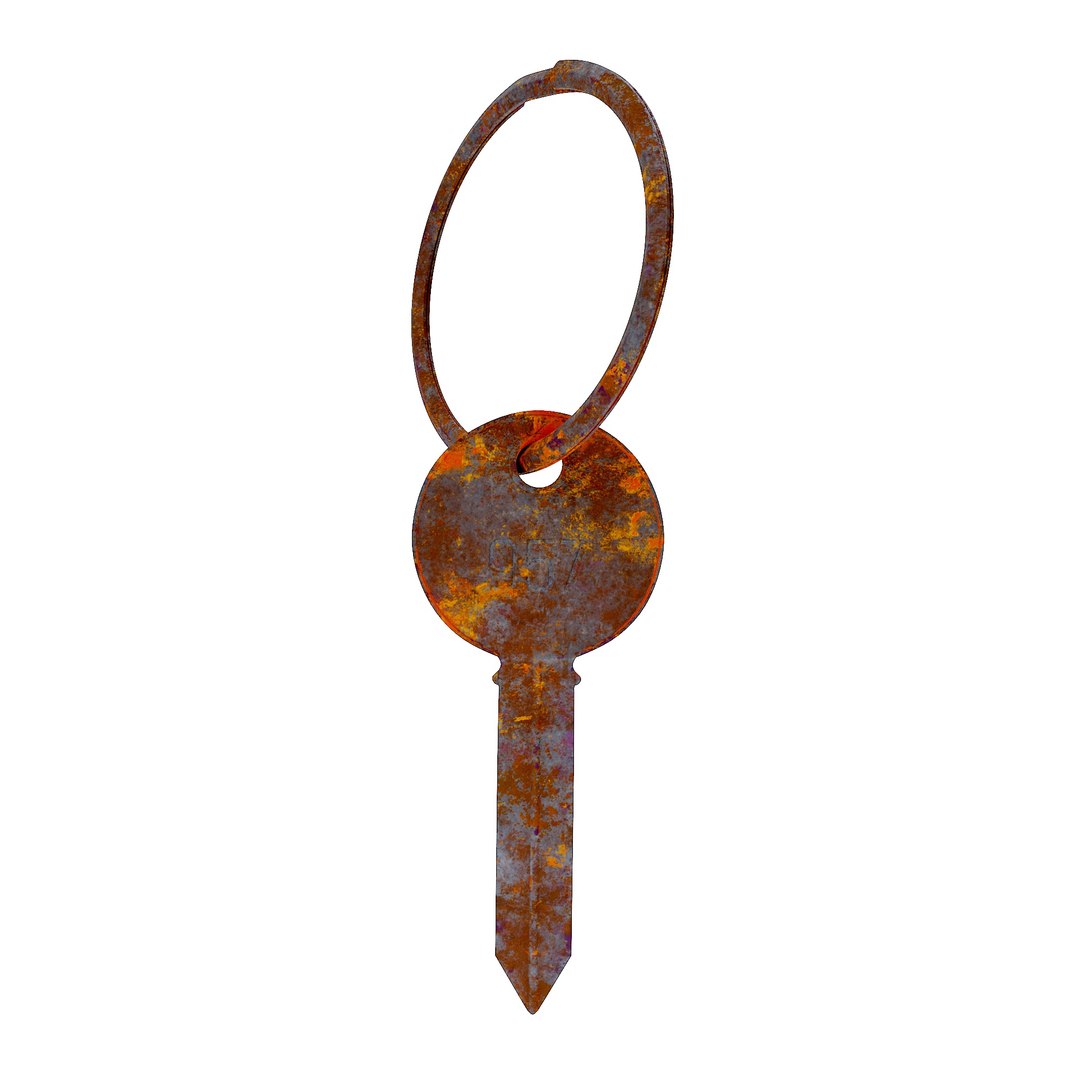 3D Model Gate Key - TurboSquid 1986596