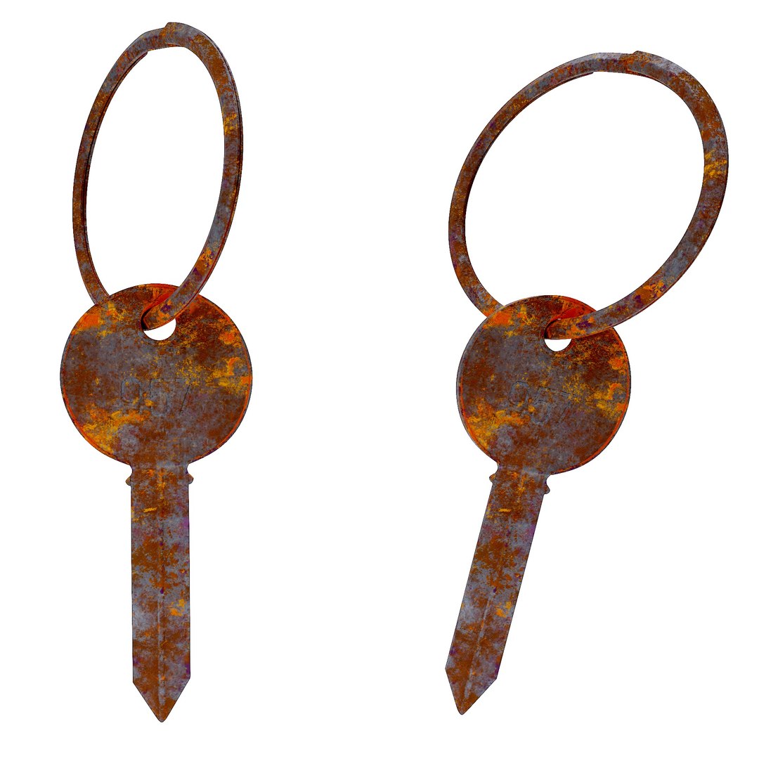 3D Model Gate Key - TurboSquid 1986596