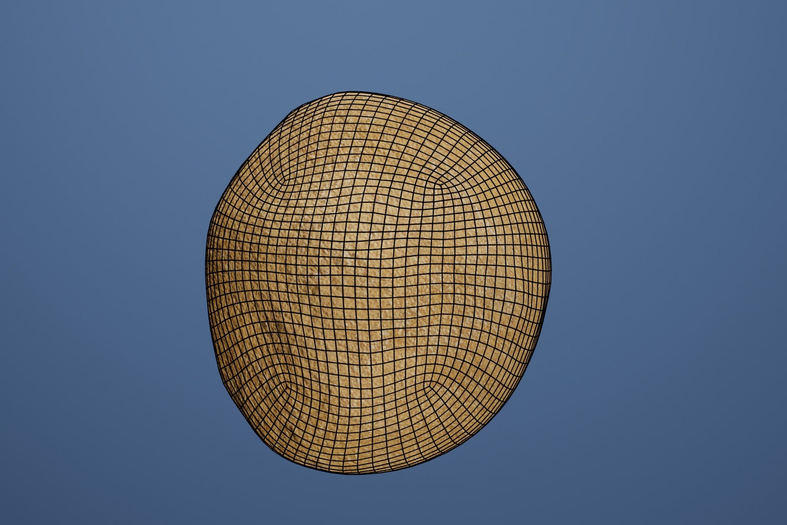 Human Patella Bone 3D Model - TurboSquid 1695670