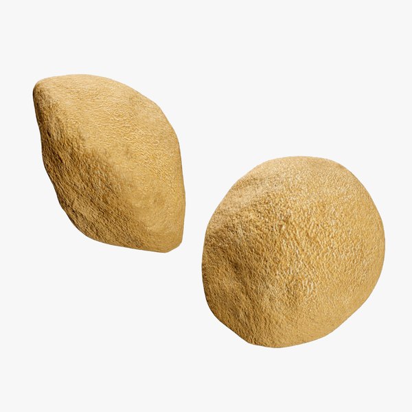 Human patella bone 3D model - TurboSquid 1695670