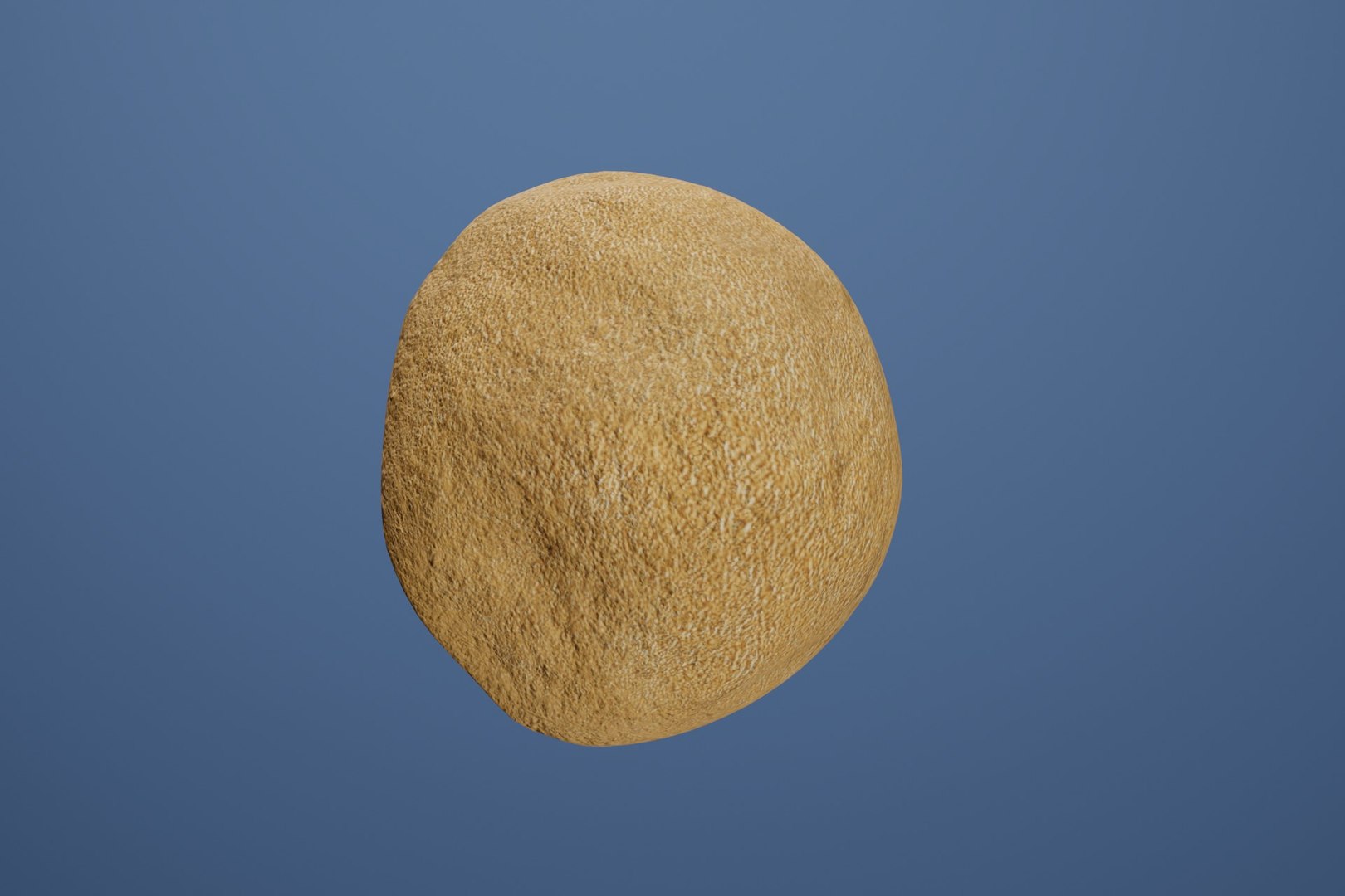 Human Patella Bone 3D Model - TurboSquid 1695670