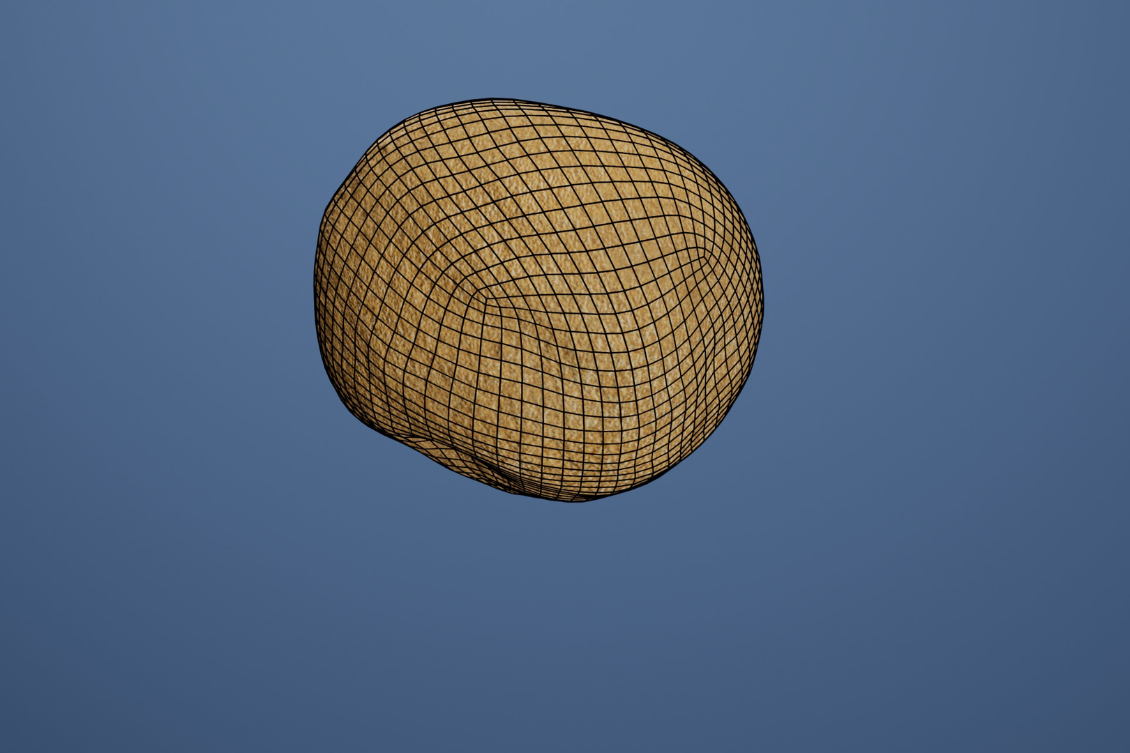 Human patella bone 3D model - TurboSquid 1695670