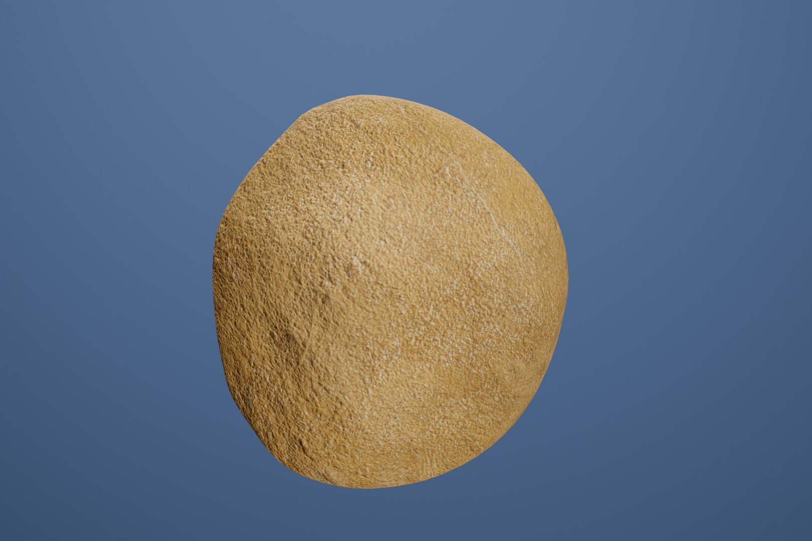 Human Patella Bone 3D Model - TurboSquid 1695670