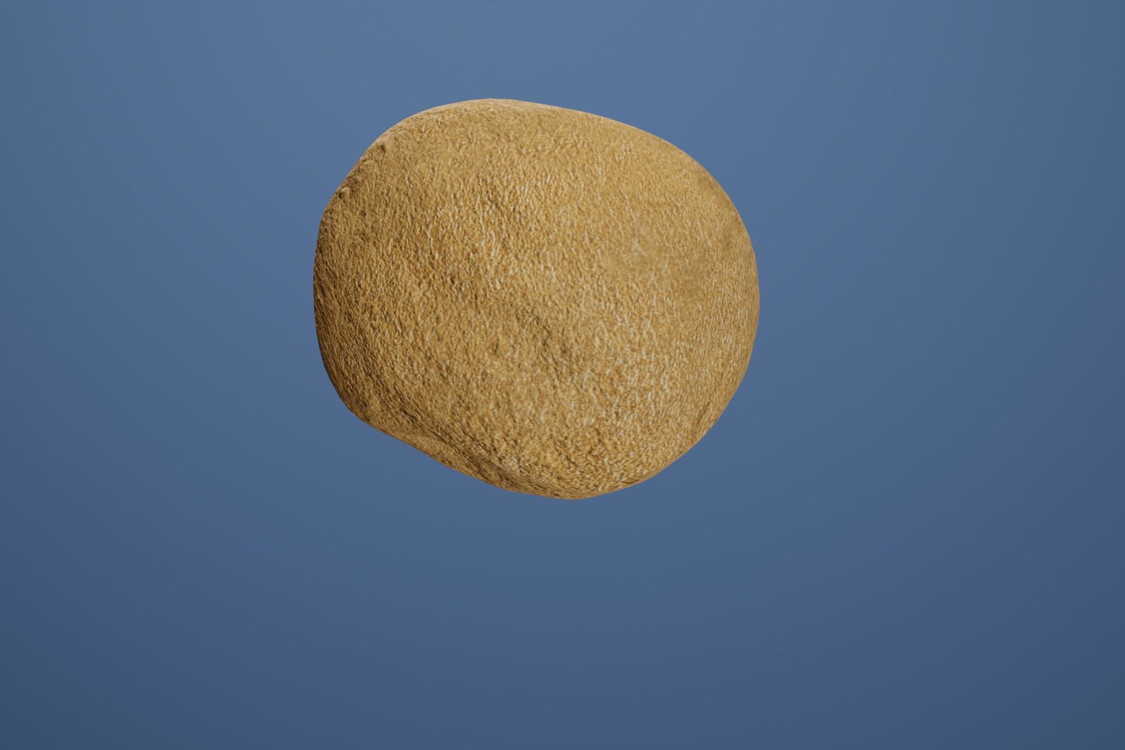 Human Patella Bone 3D Model - TurboSquid 1695670