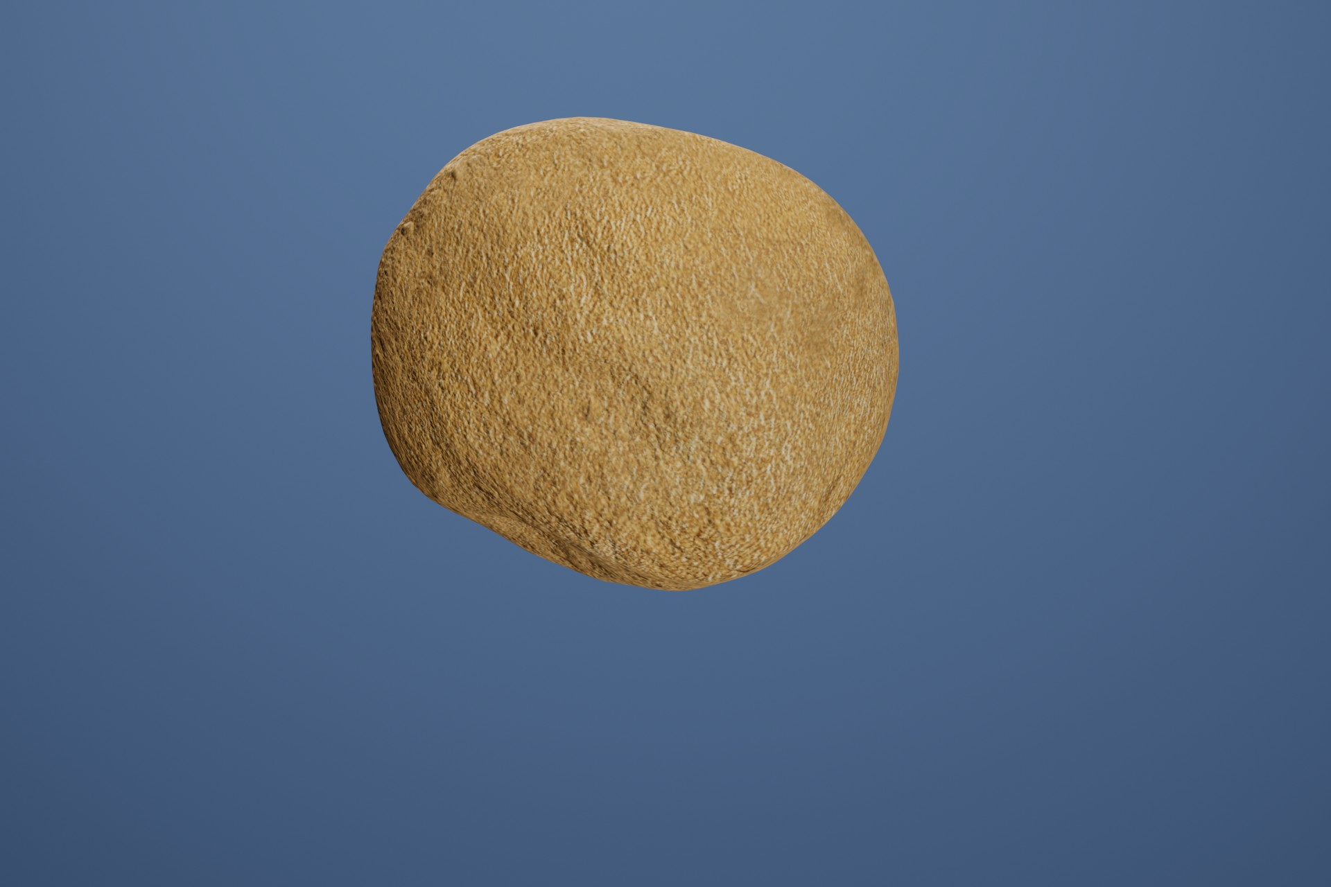 Human patella bone 3D model - TurboSquid 1695670