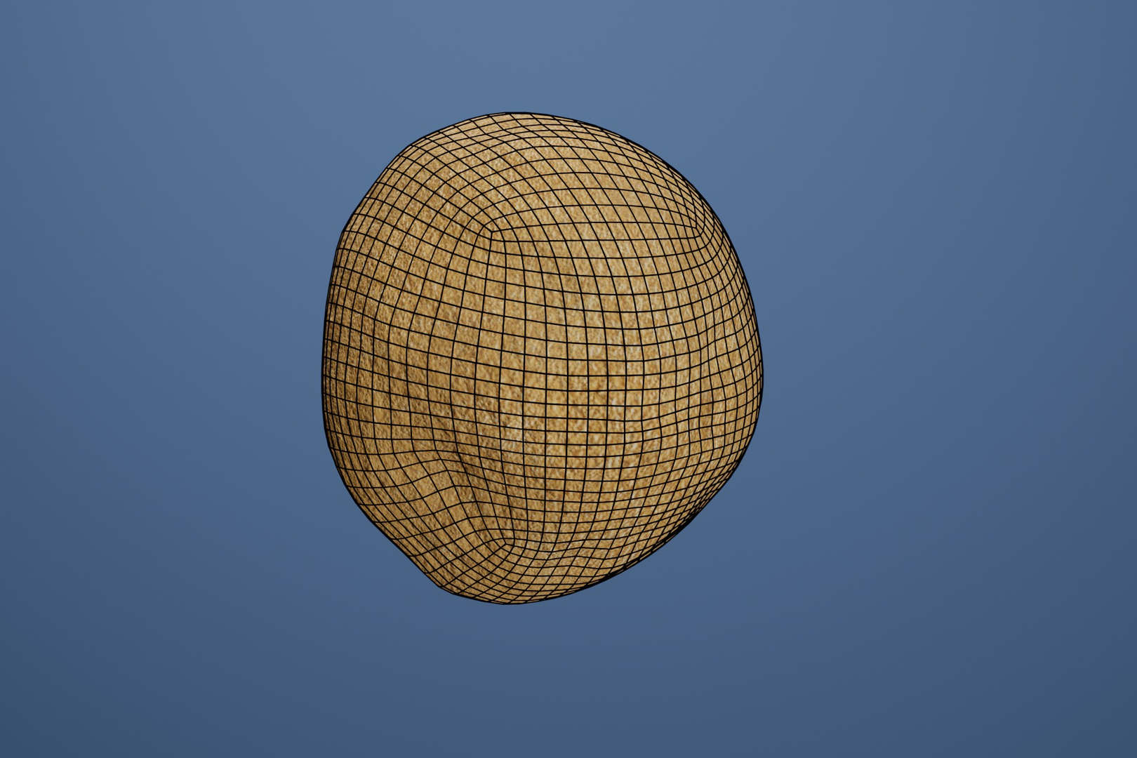 Human Patella Bone 3D Model - TurboSquid 1695670