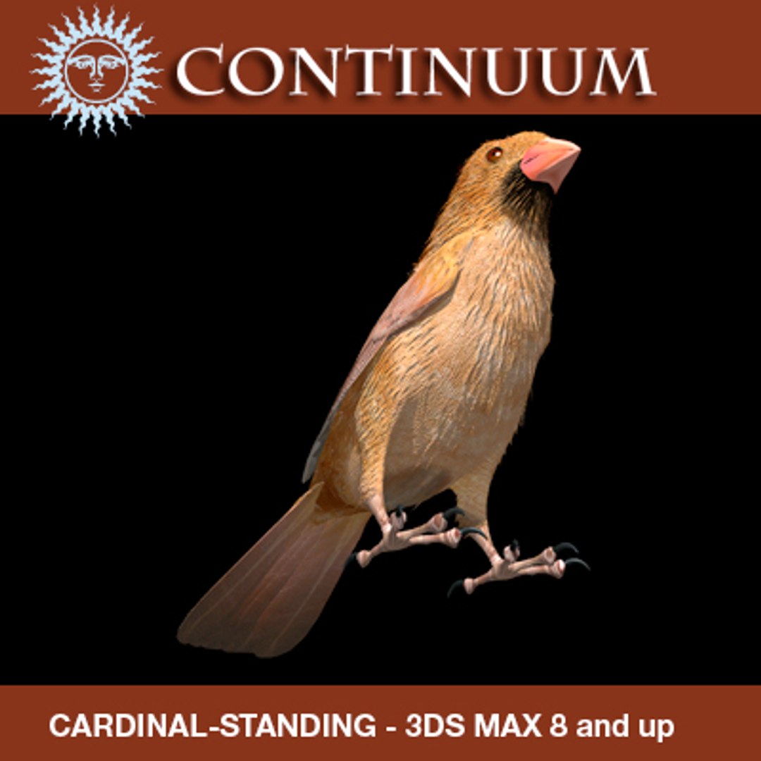 Maya Cardinal - Female Standing