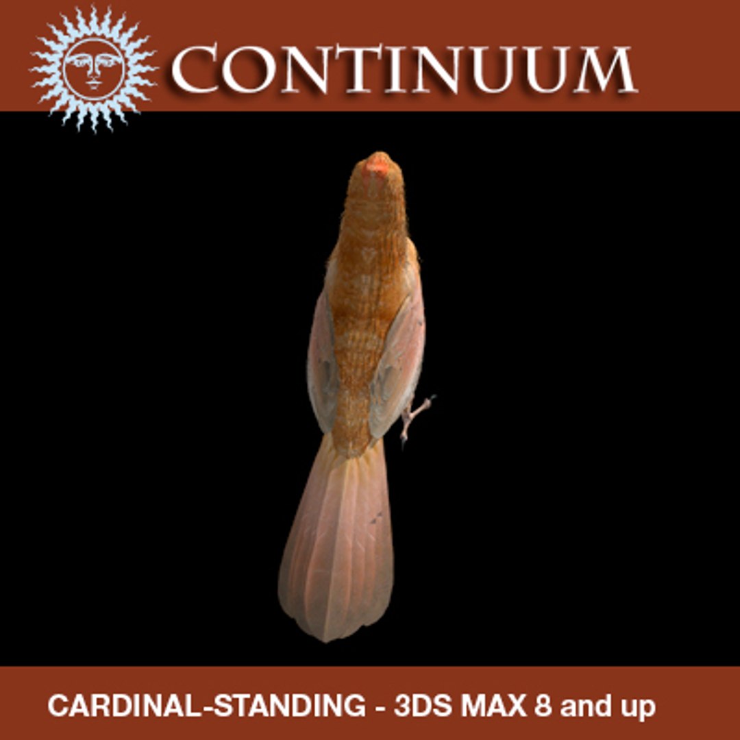 Maya Cardinal - Female Standing