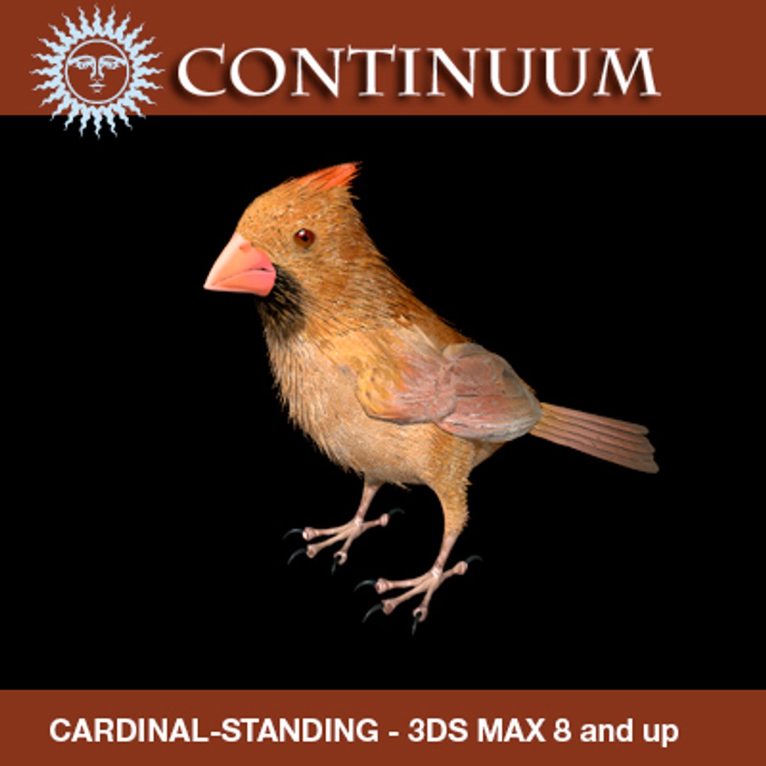 Maya Cardinal - Female Standing