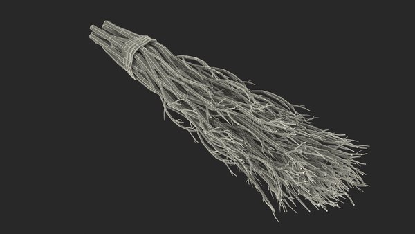 3D модель Веник веника - TurboSquid 1452783