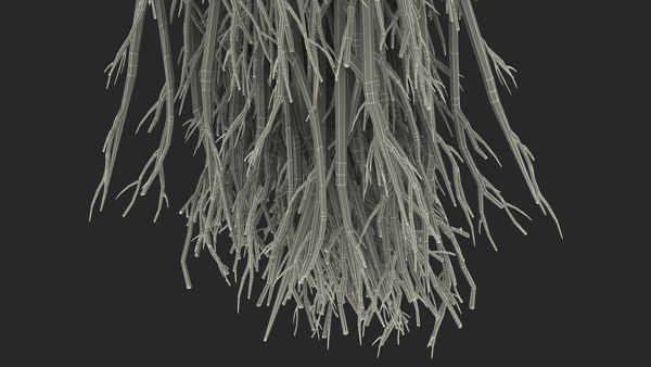 Besom broom 3D model - TurboSquid 1452783