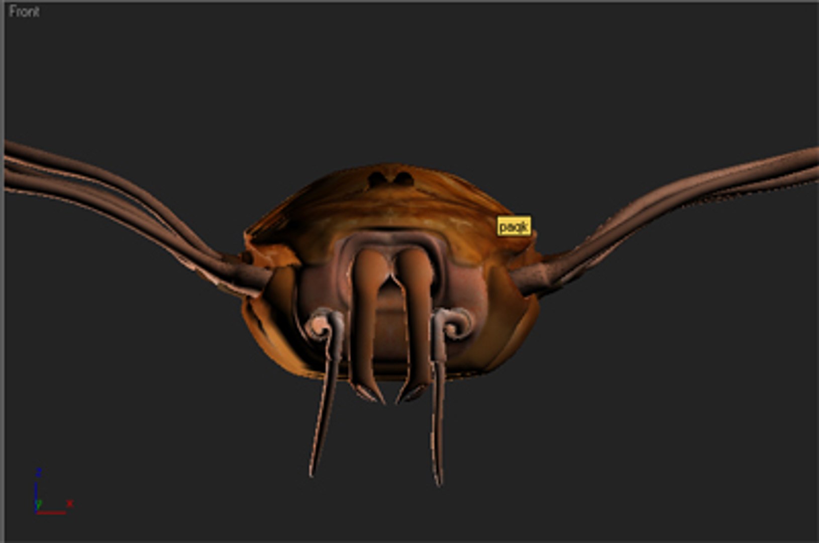 3d rig spider animation