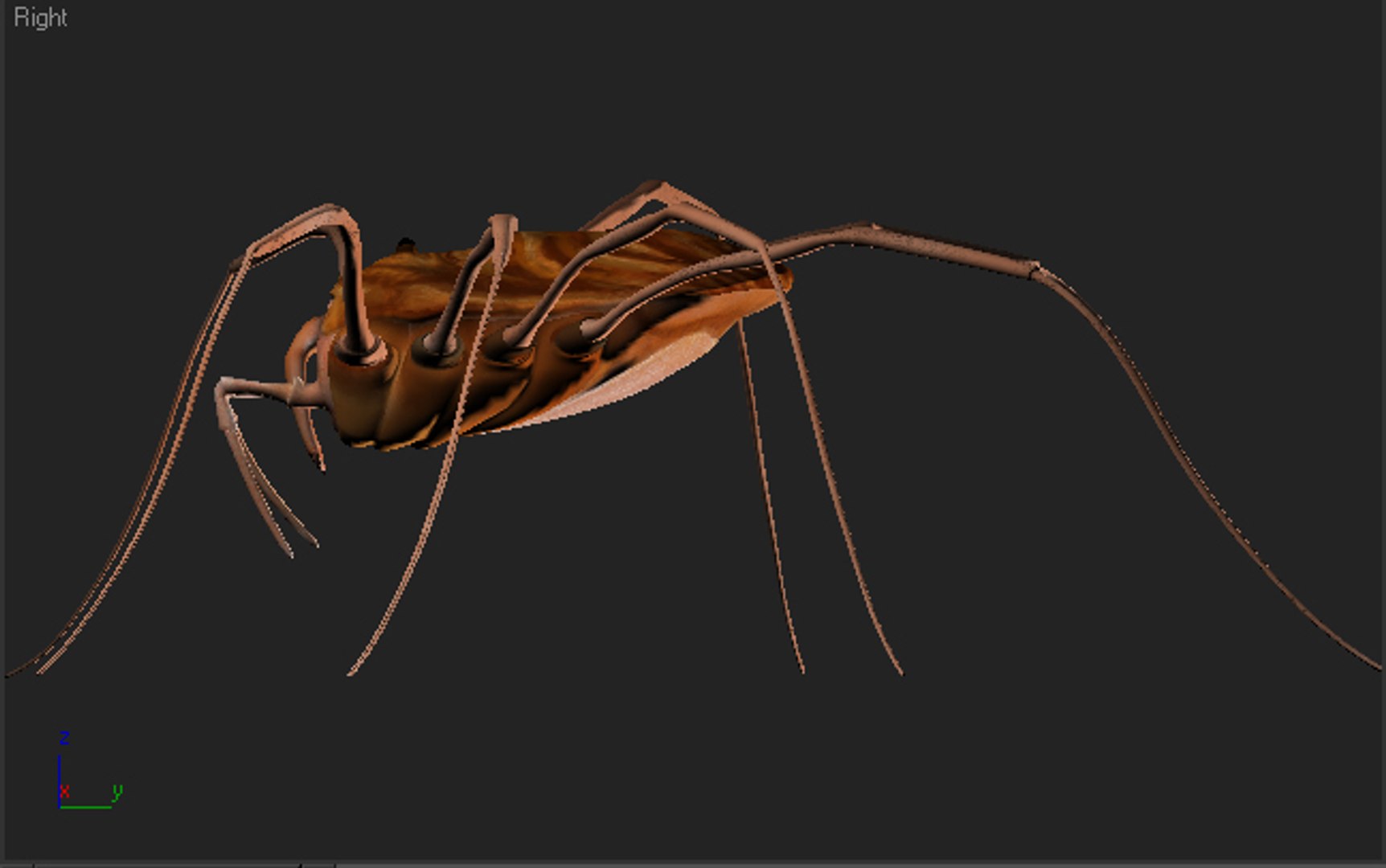 3d rig spider animation