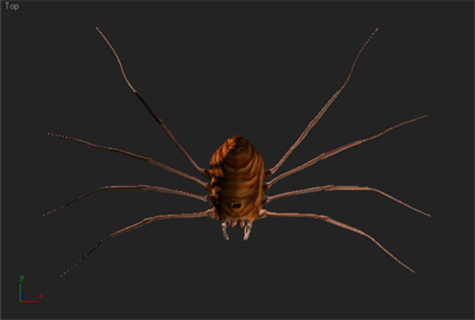 3d rig spider animation