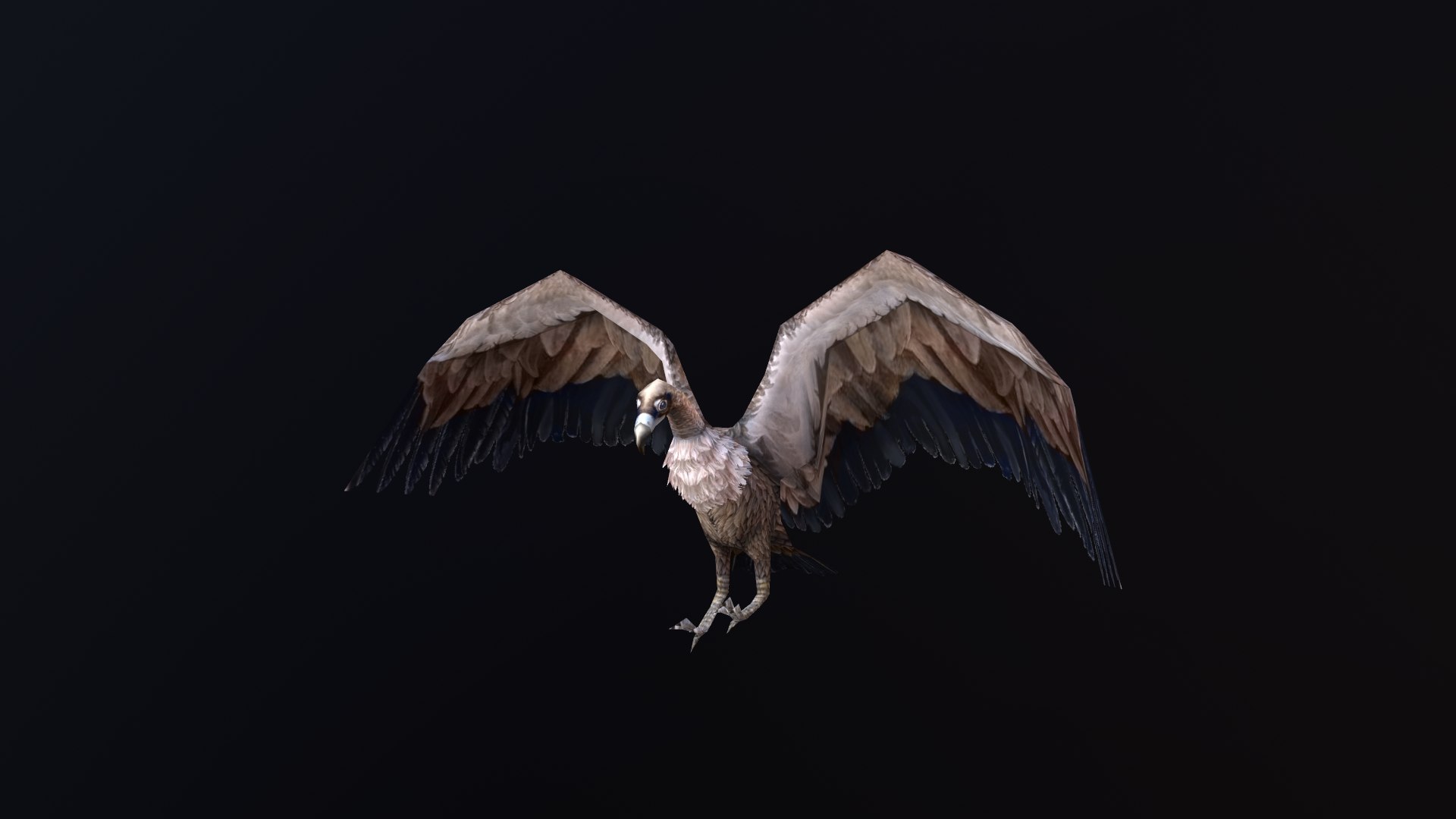 Animated Vulture 3D Model - TurboSquid 2152706