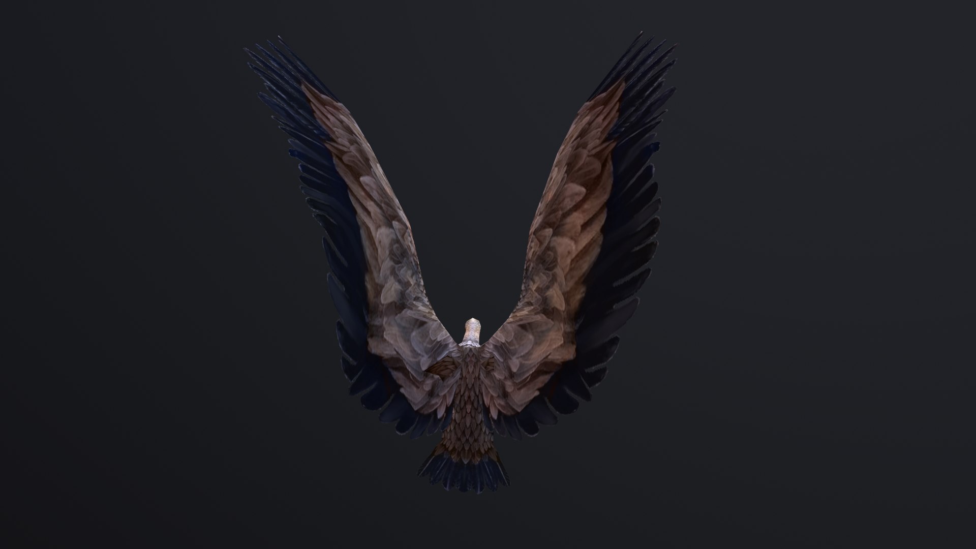 Animated Vulture 3D Model - TurboSquid 2152706
