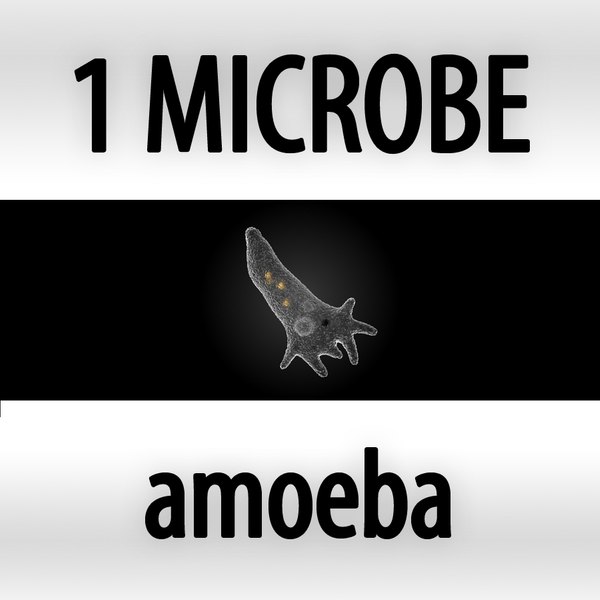 Amoeba 3D Models for Download | TurboSquid