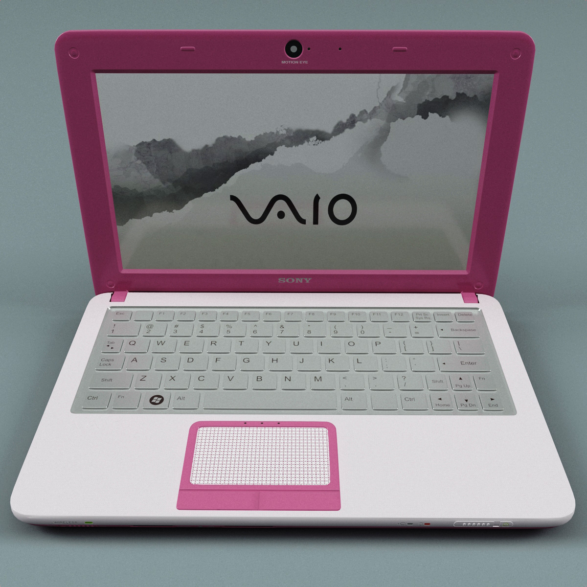 max laptop sony vaio pink