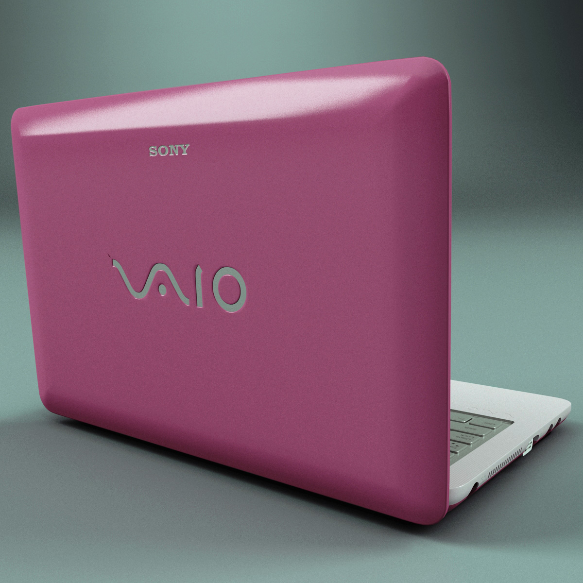 max laptop sony vaio pink