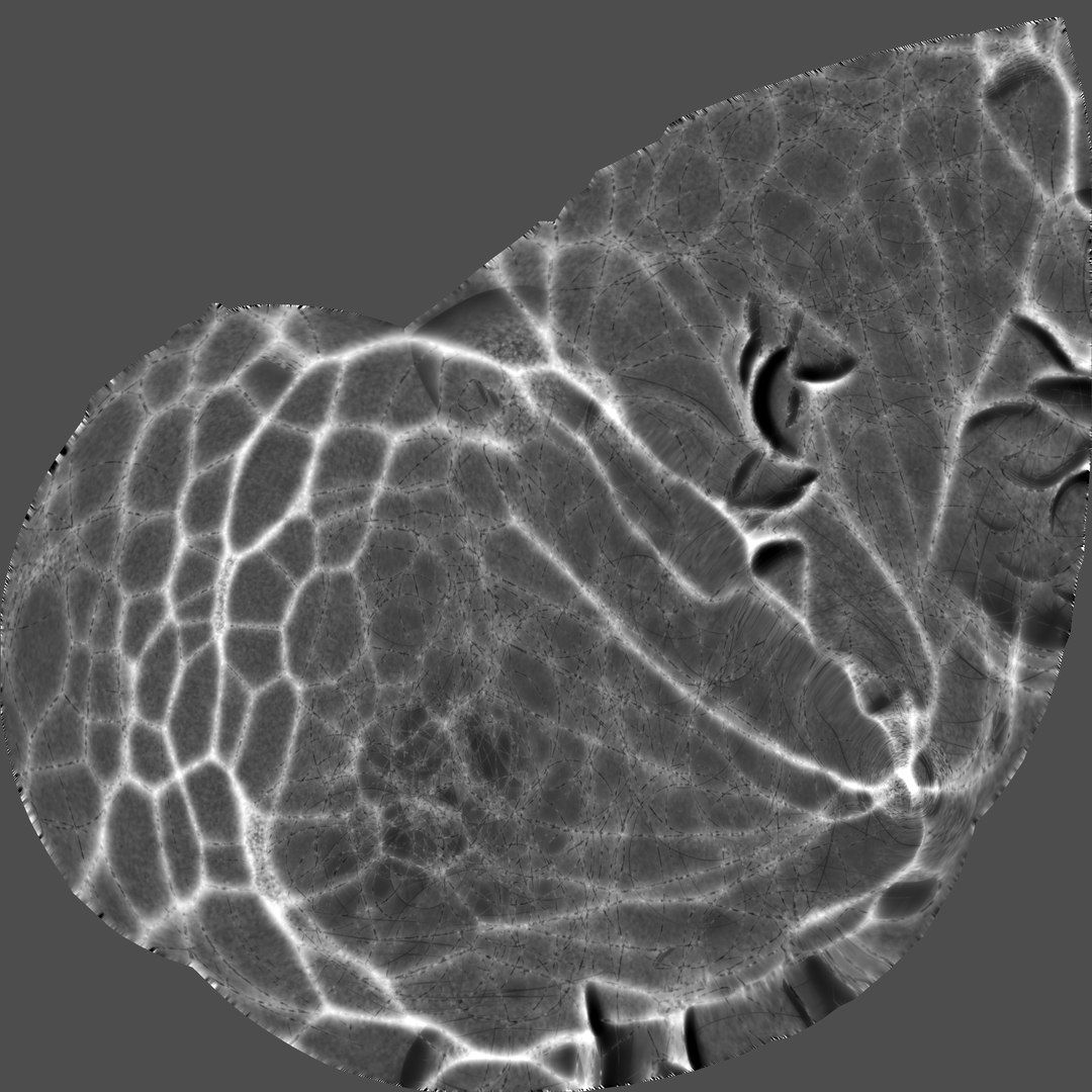 Obj Prehistoric Biface Hand