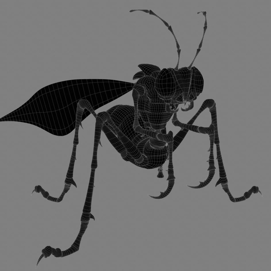 praying mantis 3d model