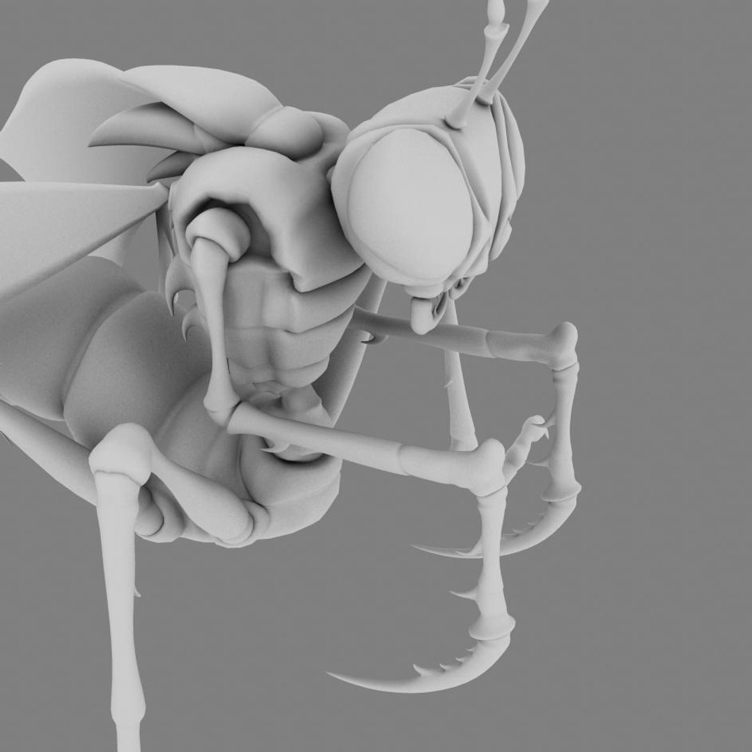 praying mantis 3d model