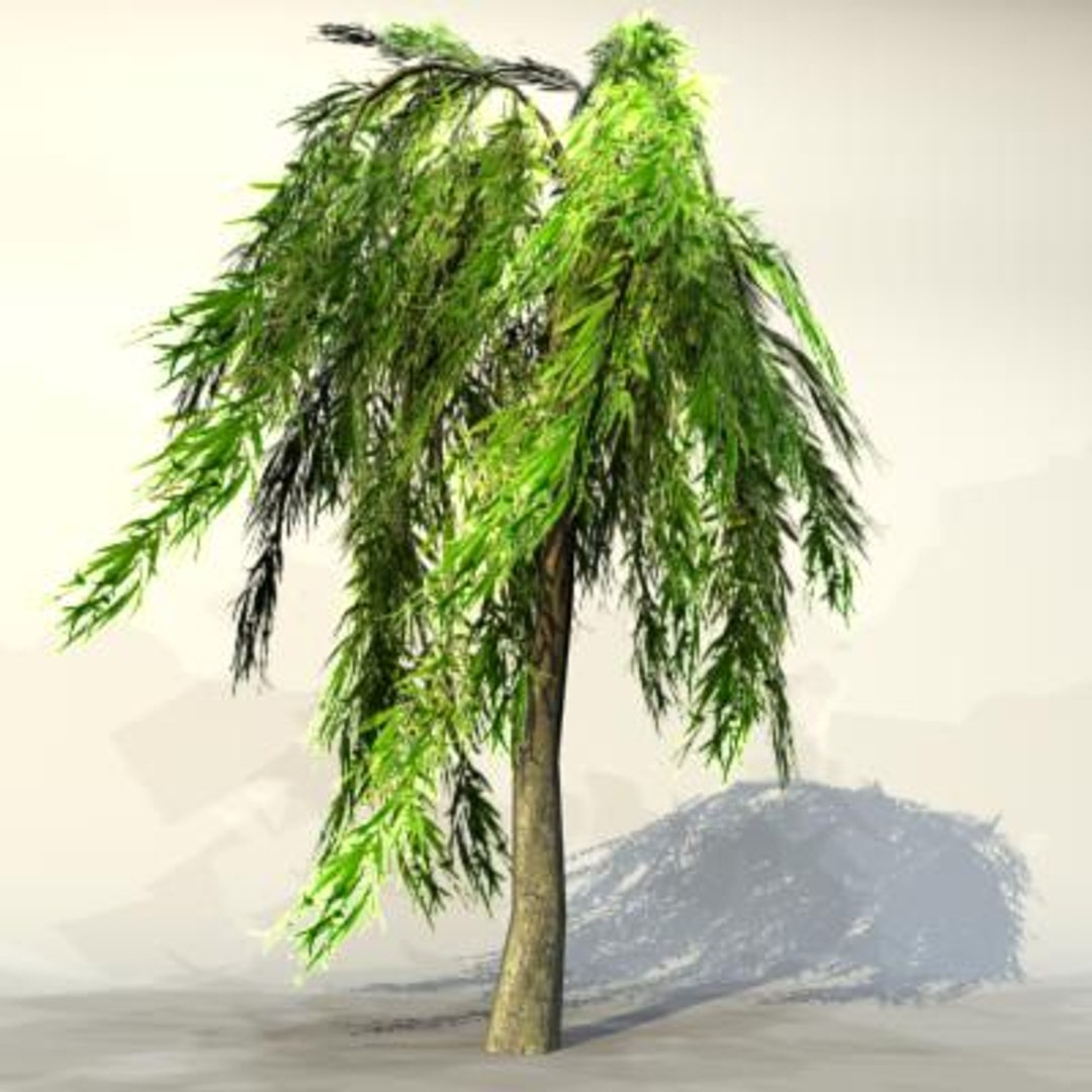 3d pc tree model