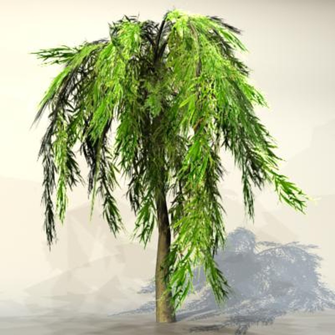 3d pc tree model