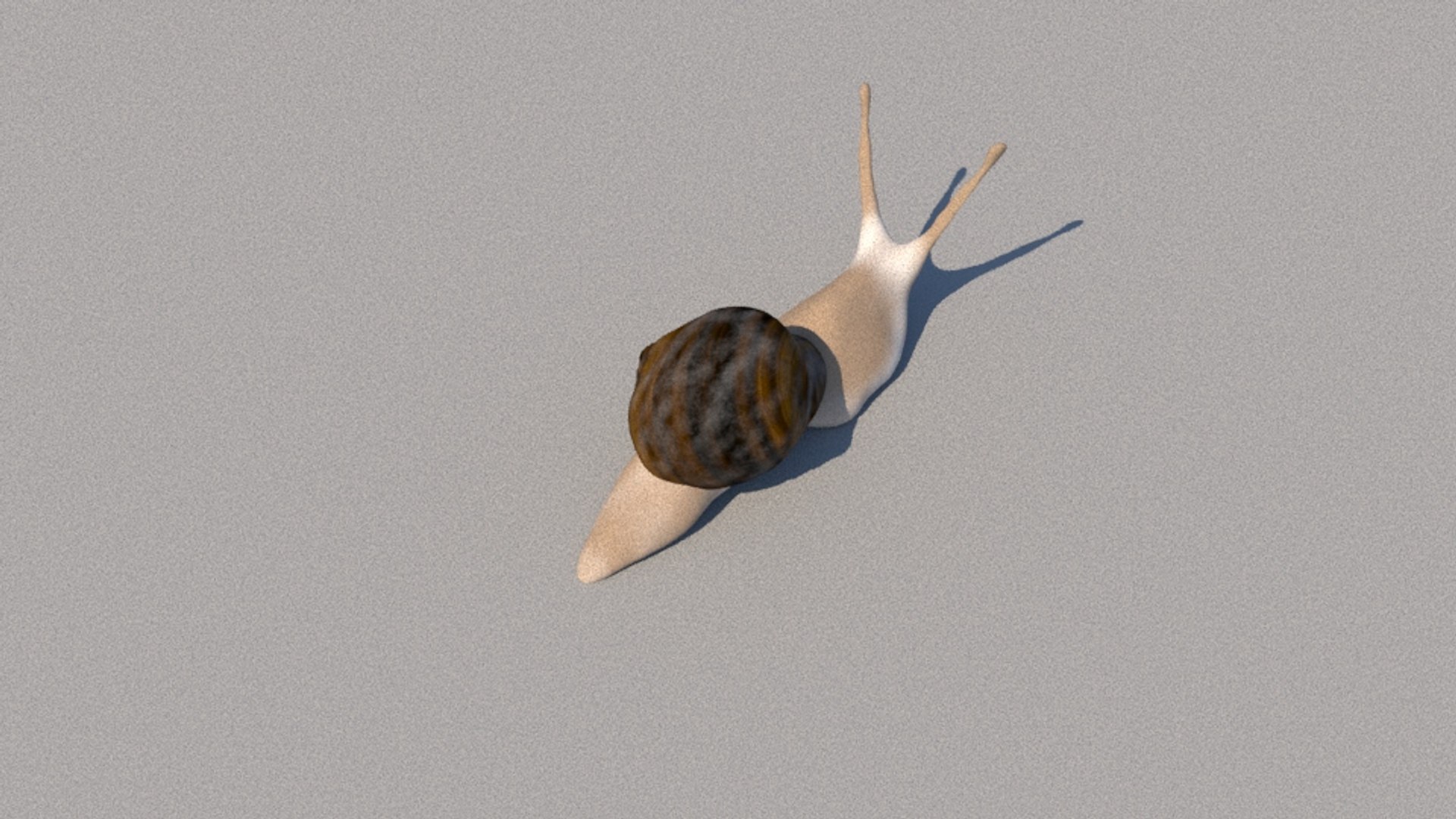3D snail model - TurboSquid 1254926