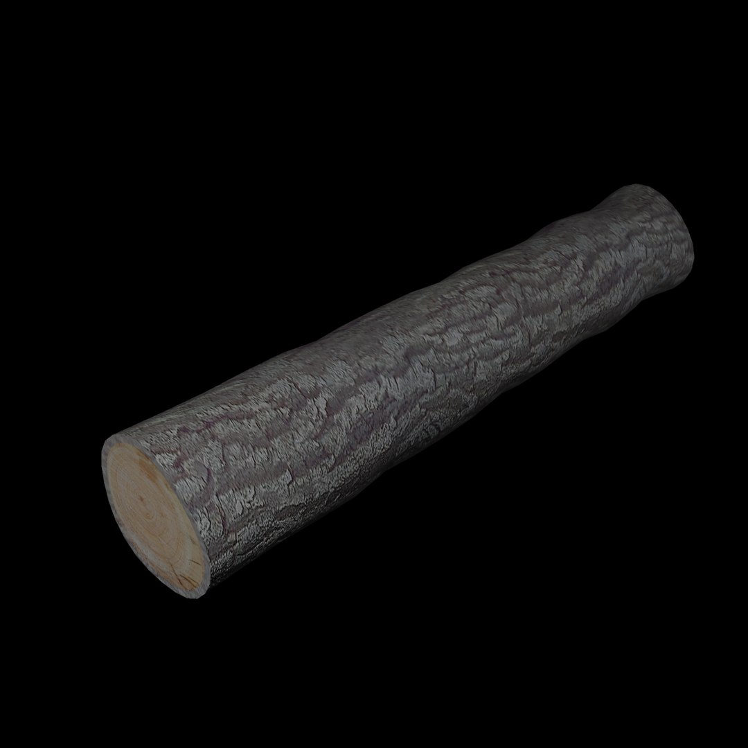 3d Oak Log Model