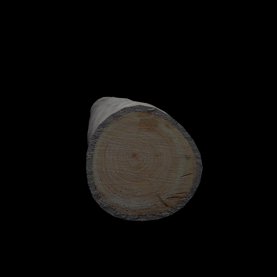 3d Oak Log Model