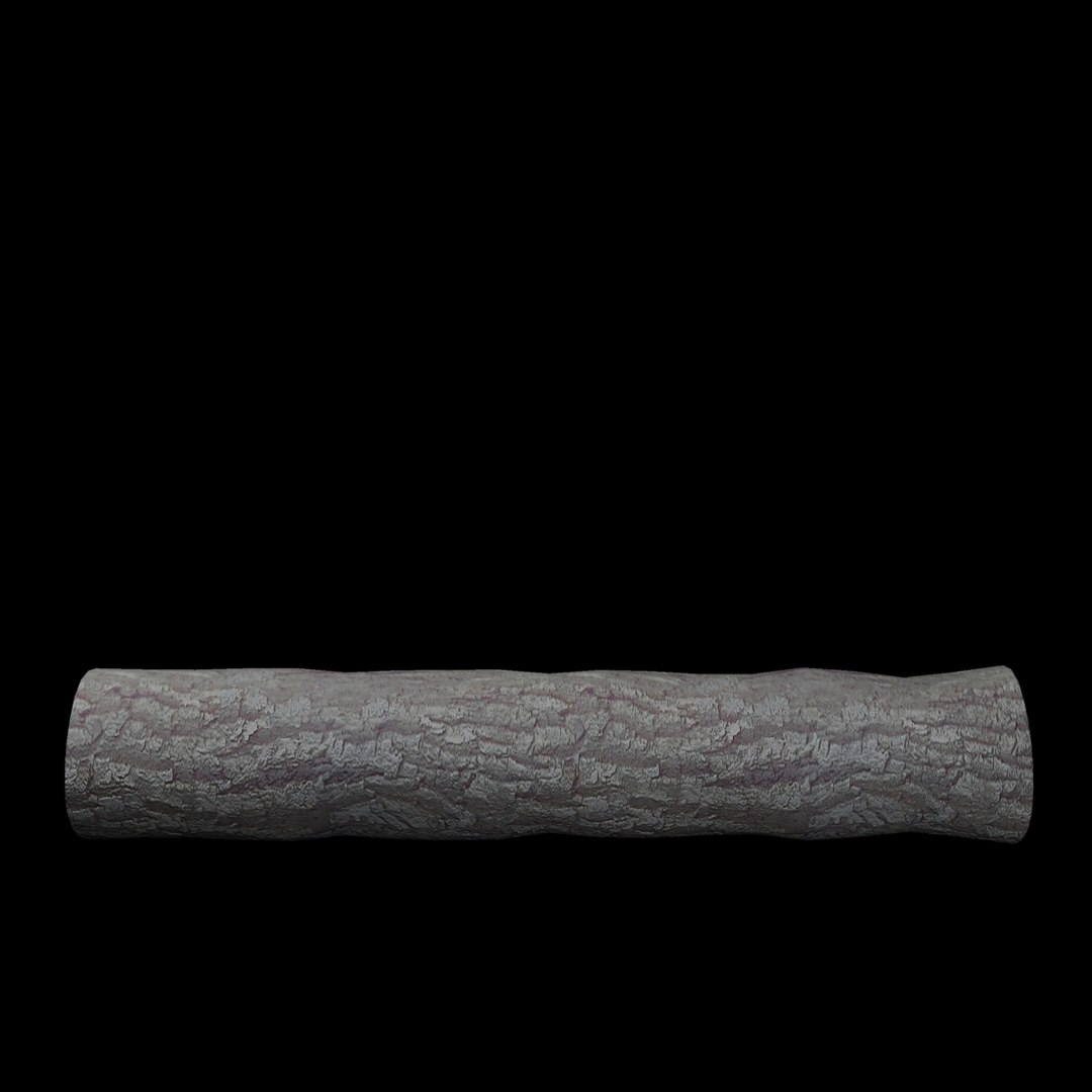 3d Oak Log Model