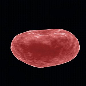 Blood 3D Models for Download | TurboSquid