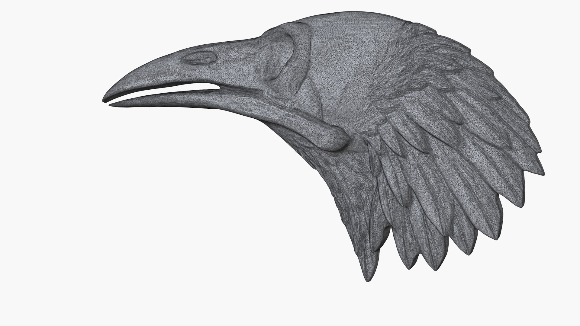3D Crow Skull Relief 4 - TurboSquid 2287191
