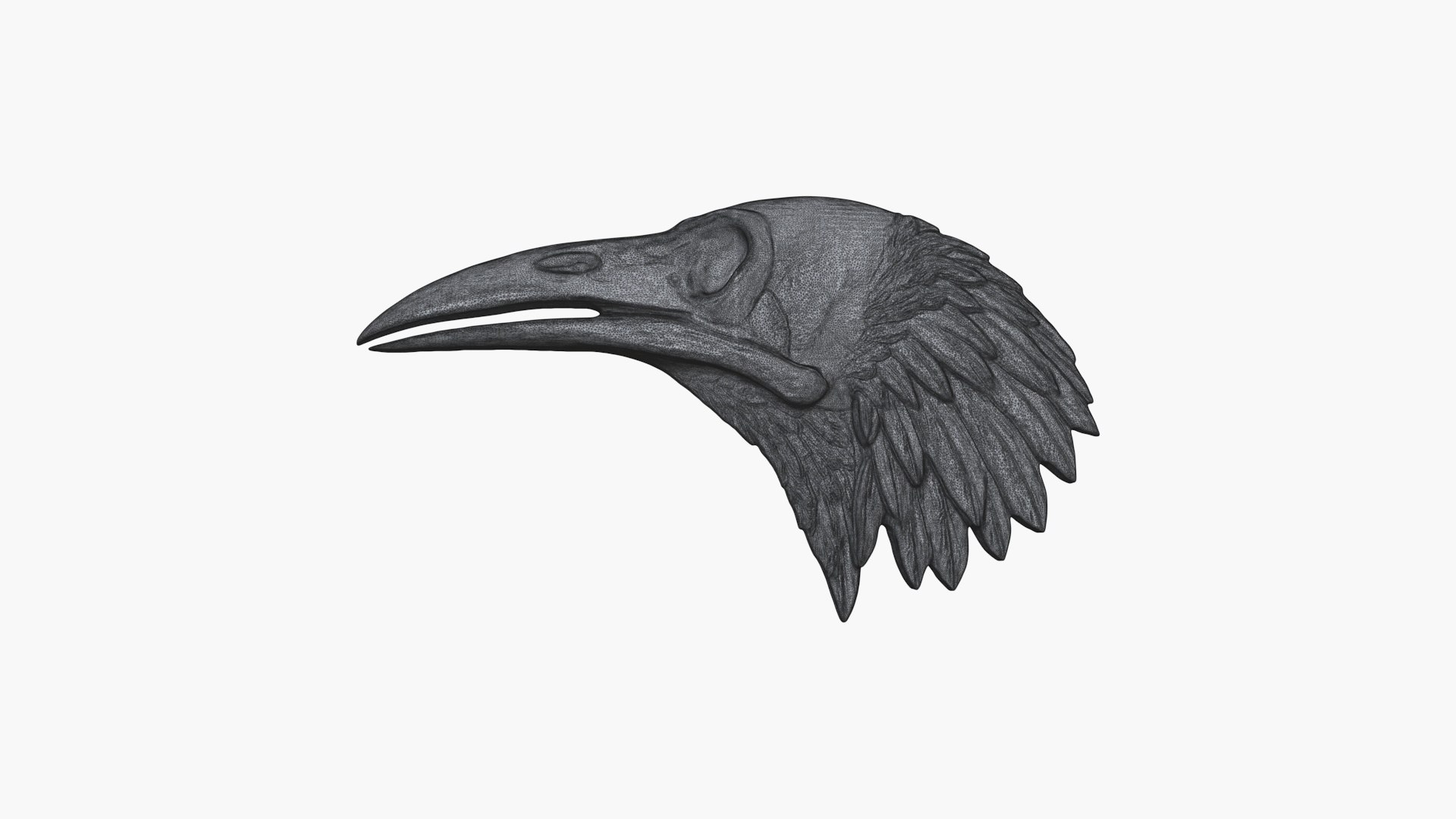 3D Crow Skull Relief 4 - TurboSquid 2287191