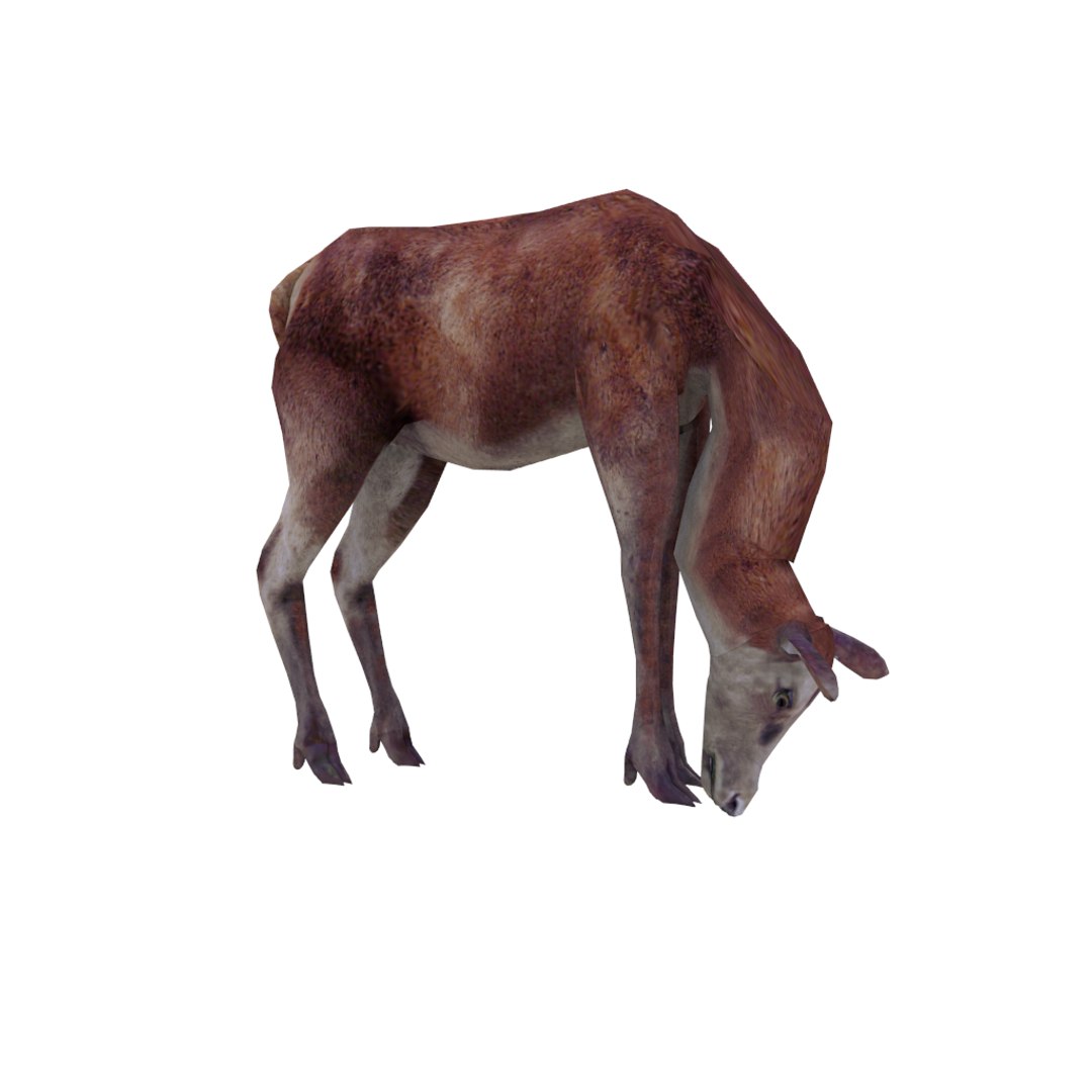 3d Deer Animation Model