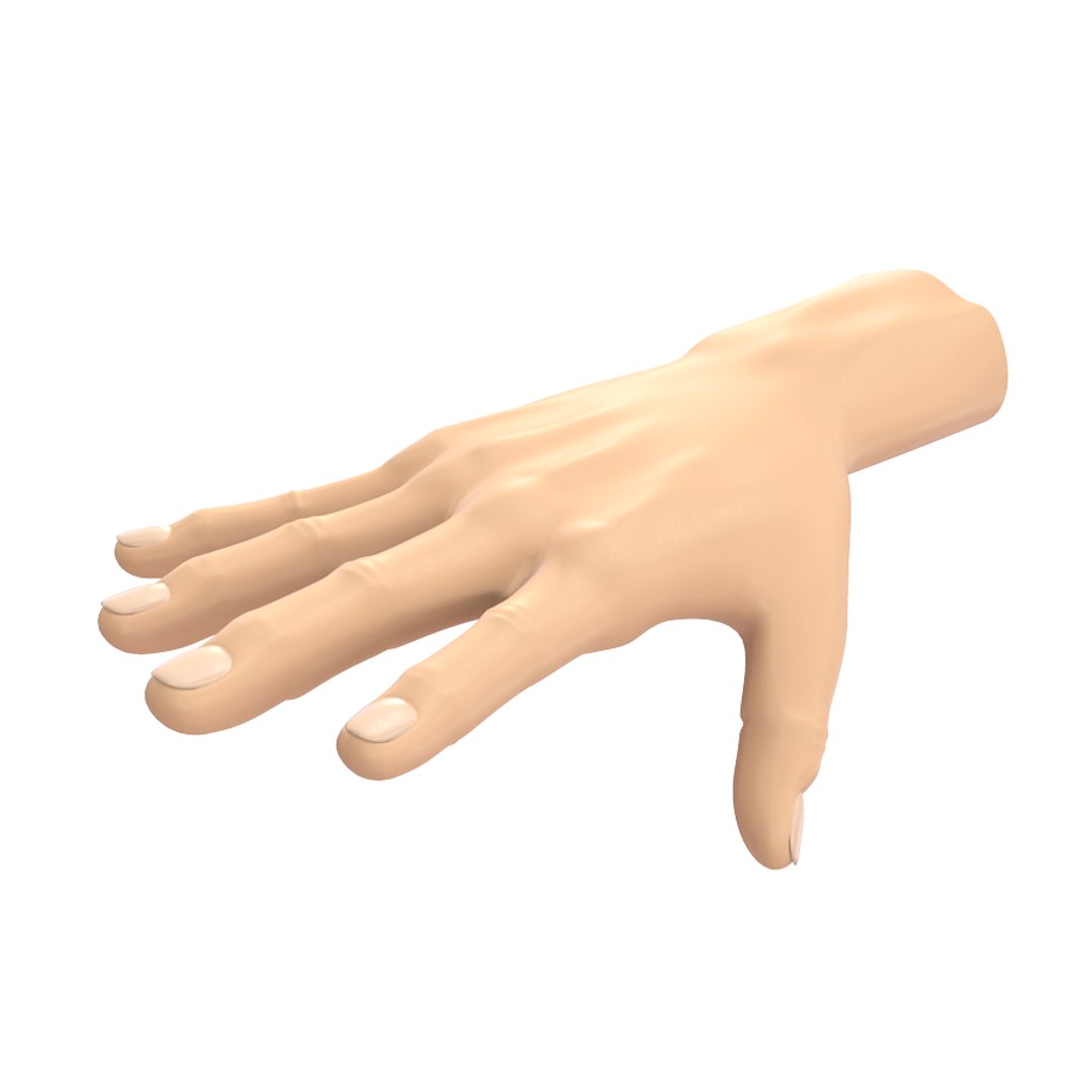 3d cartoon hand model