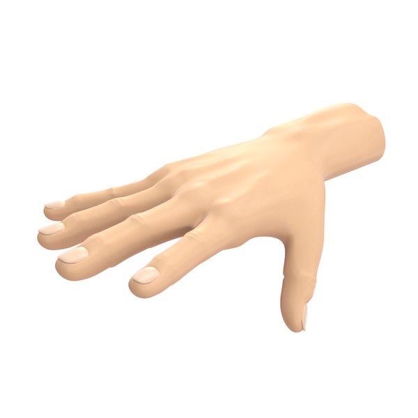 3d cartoon hand model
