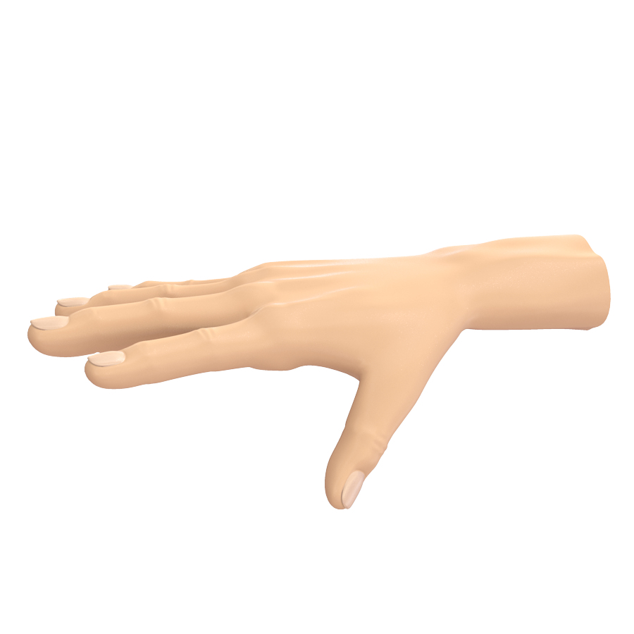 3d cartoon hand model