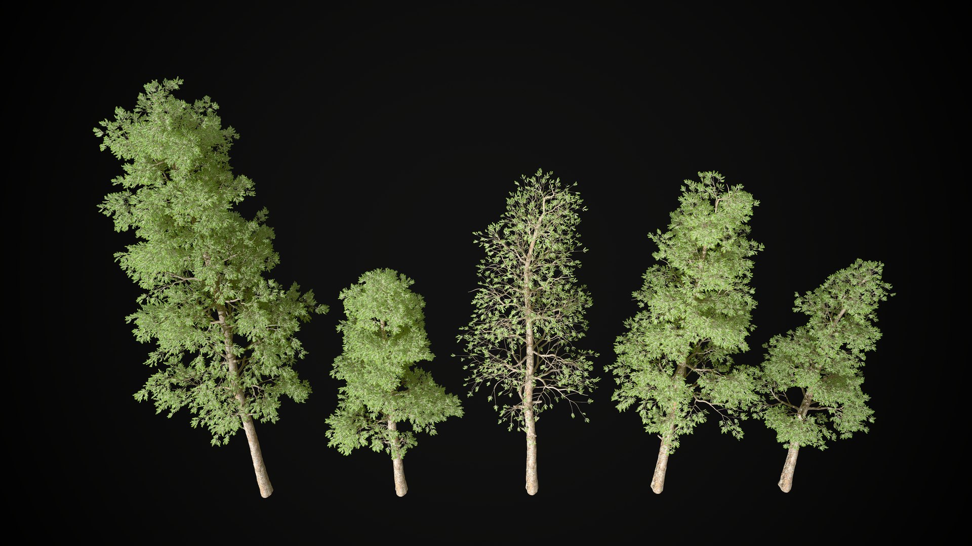 3D Pine Tree - TurboSquid 1682629