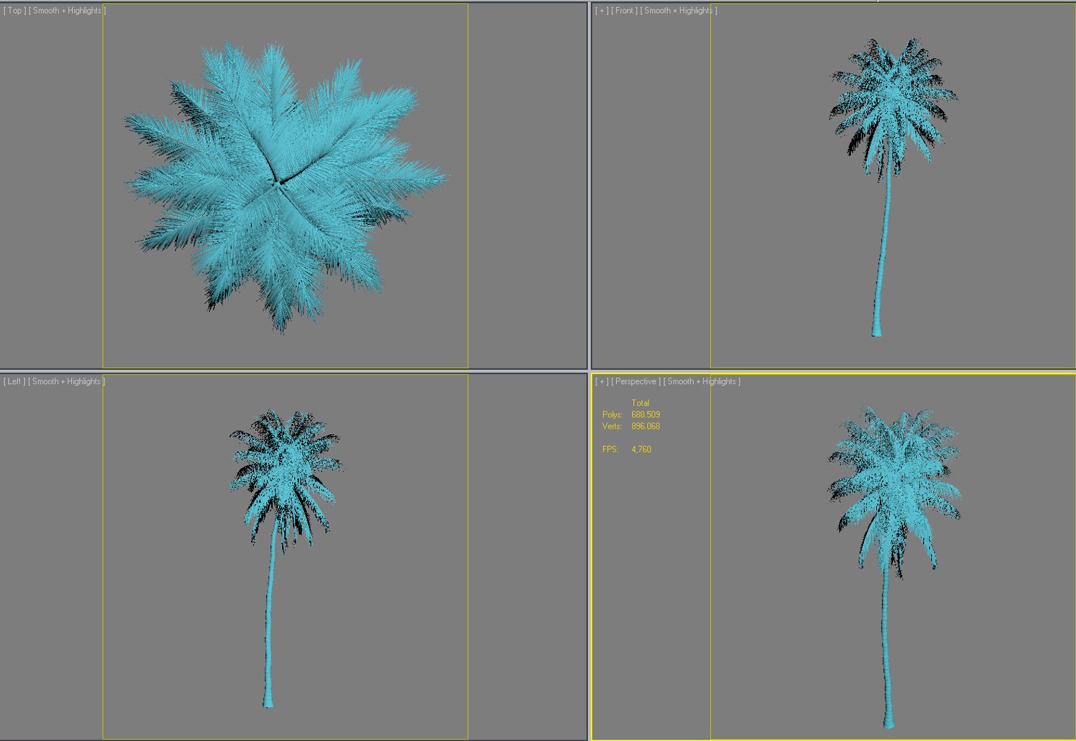 Max Coconut Palm Tree