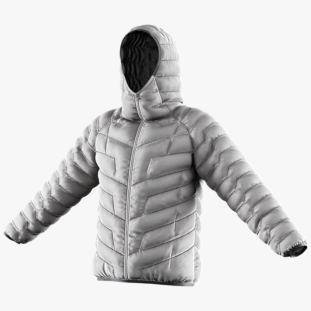 3D Down Jacket Sw Male - TurboSquid 2199716