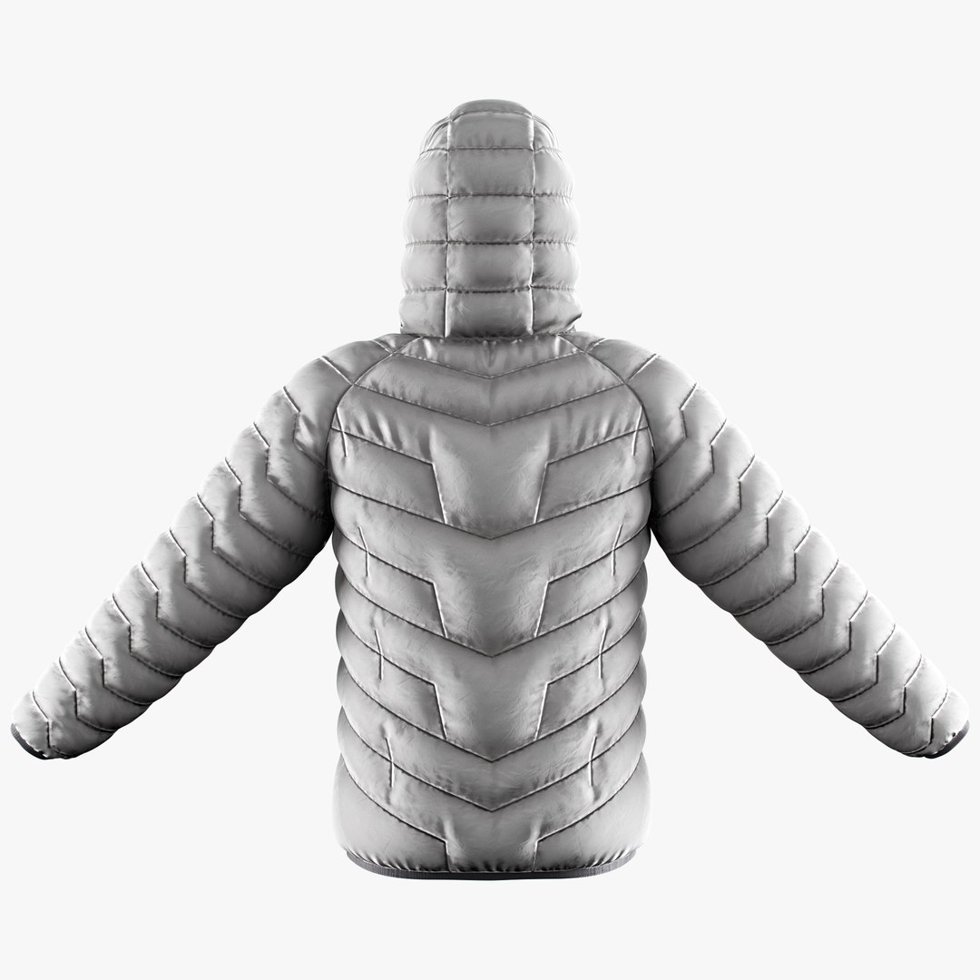3D Down Jacket Sw Male - TurboSquid 2199716