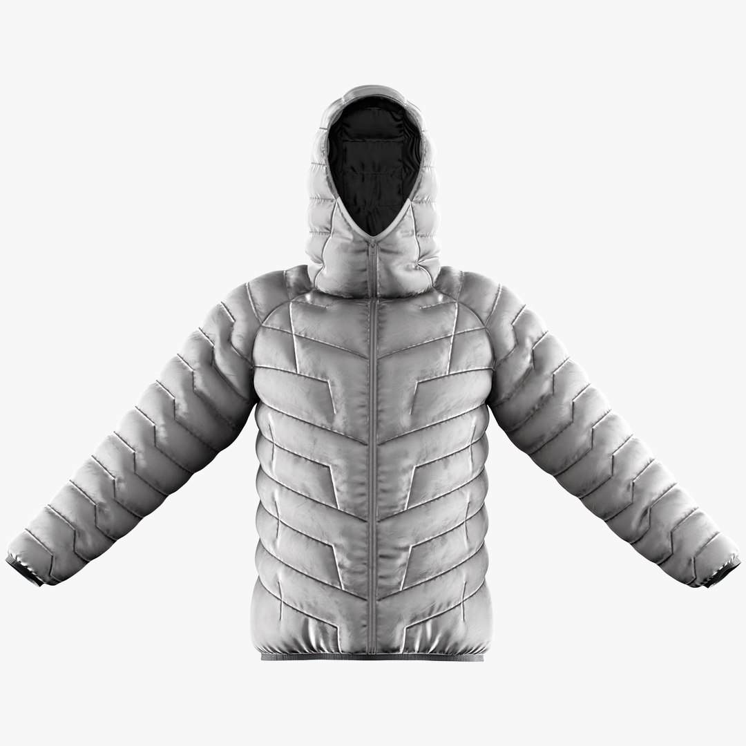 3D Down Jacket Sw Male - TurboSquid 2199716
