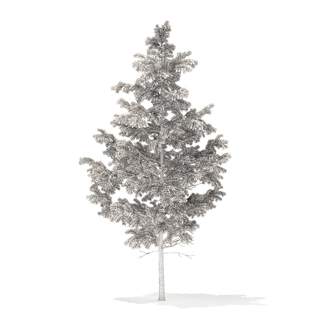 3D Pine Tree 5 5m - TurboSquid 1273724