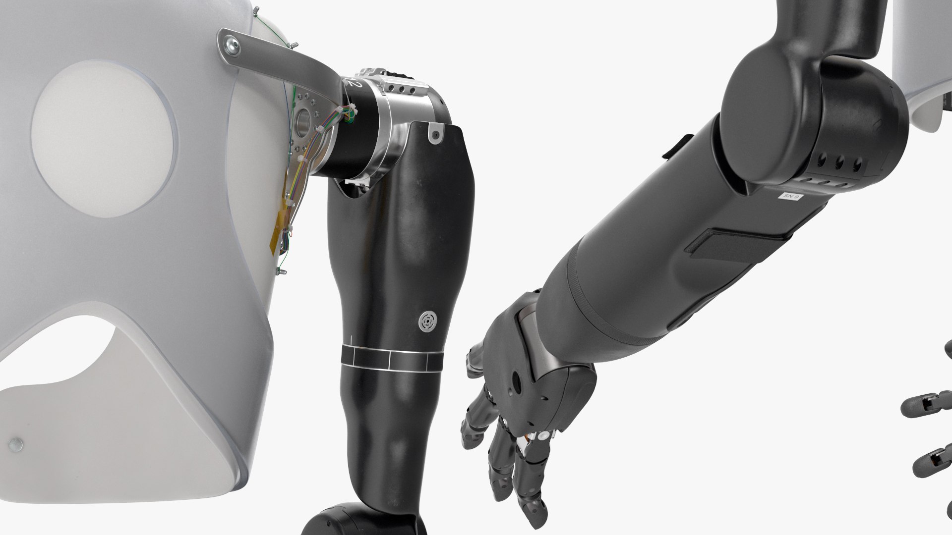 3D Modular Prosthetic Limbs Fur - TurboSquid 2092171