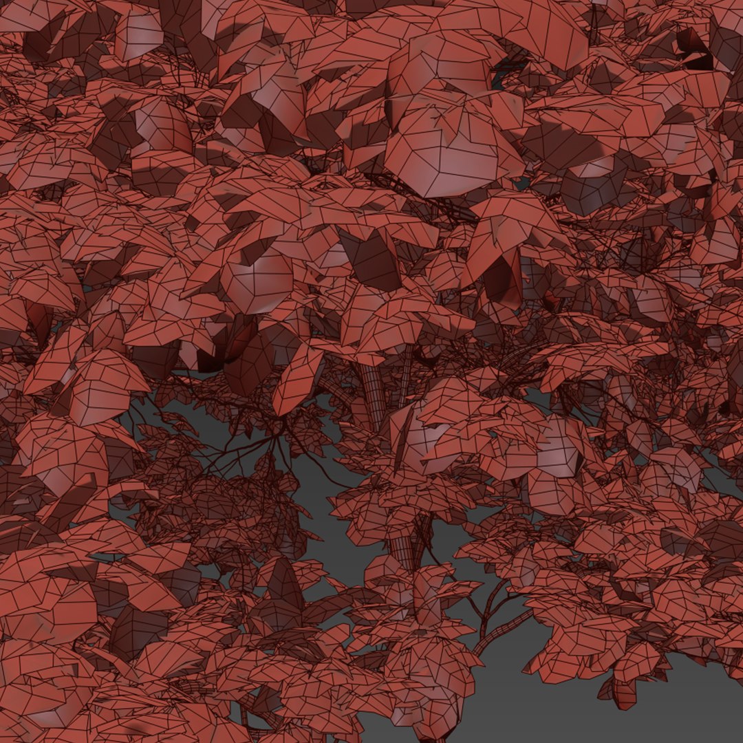 3D Coliseum Maple Model - TurboSquid 1955437