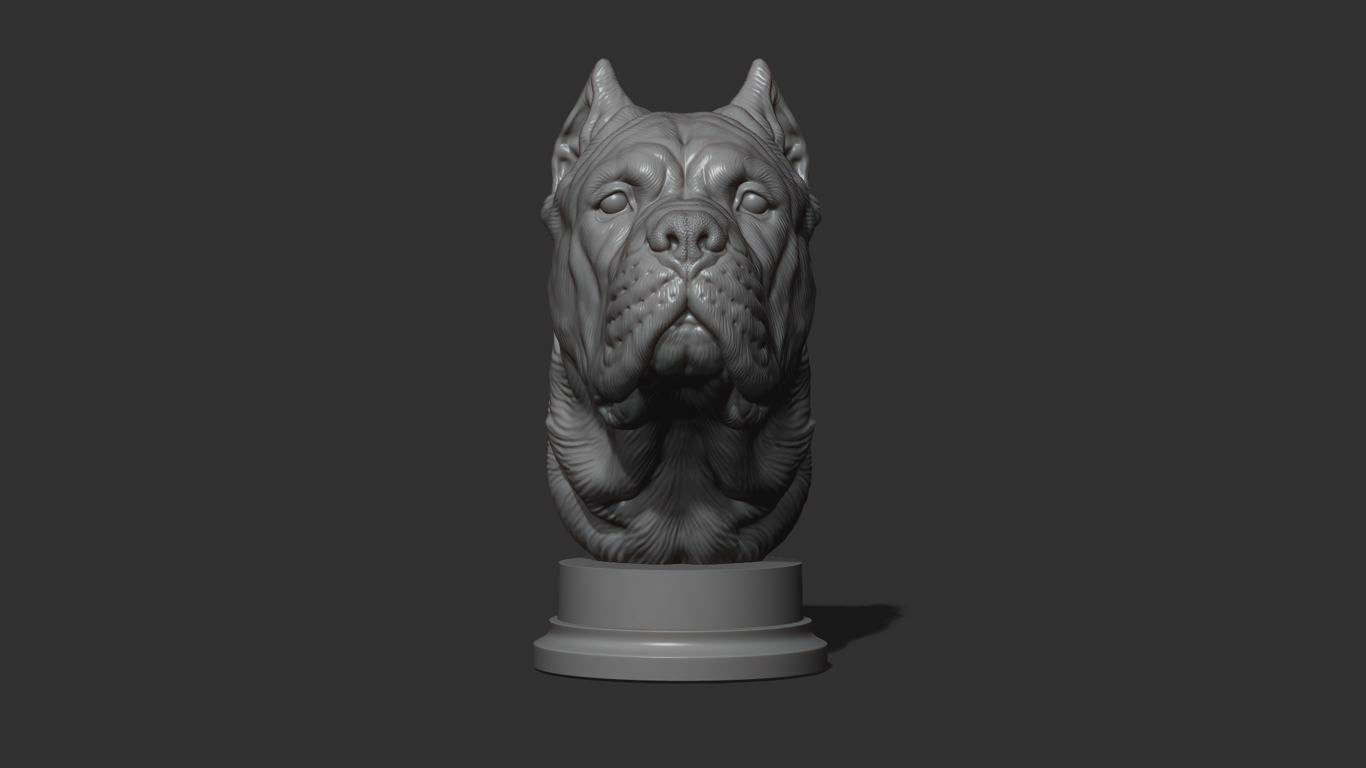Canne Corso Dog 3D - TurboSquid 2181252