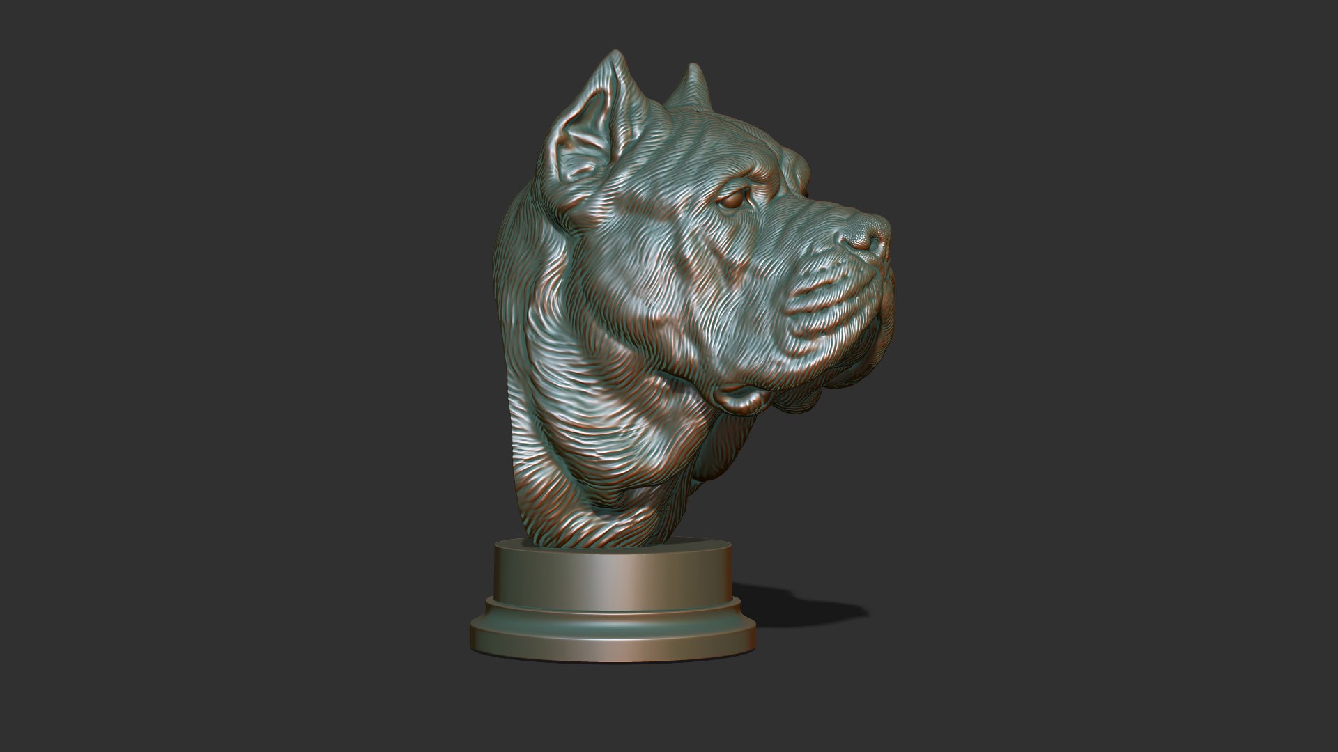 Canne Corso Dog 3D - TurboSquid 2181252
